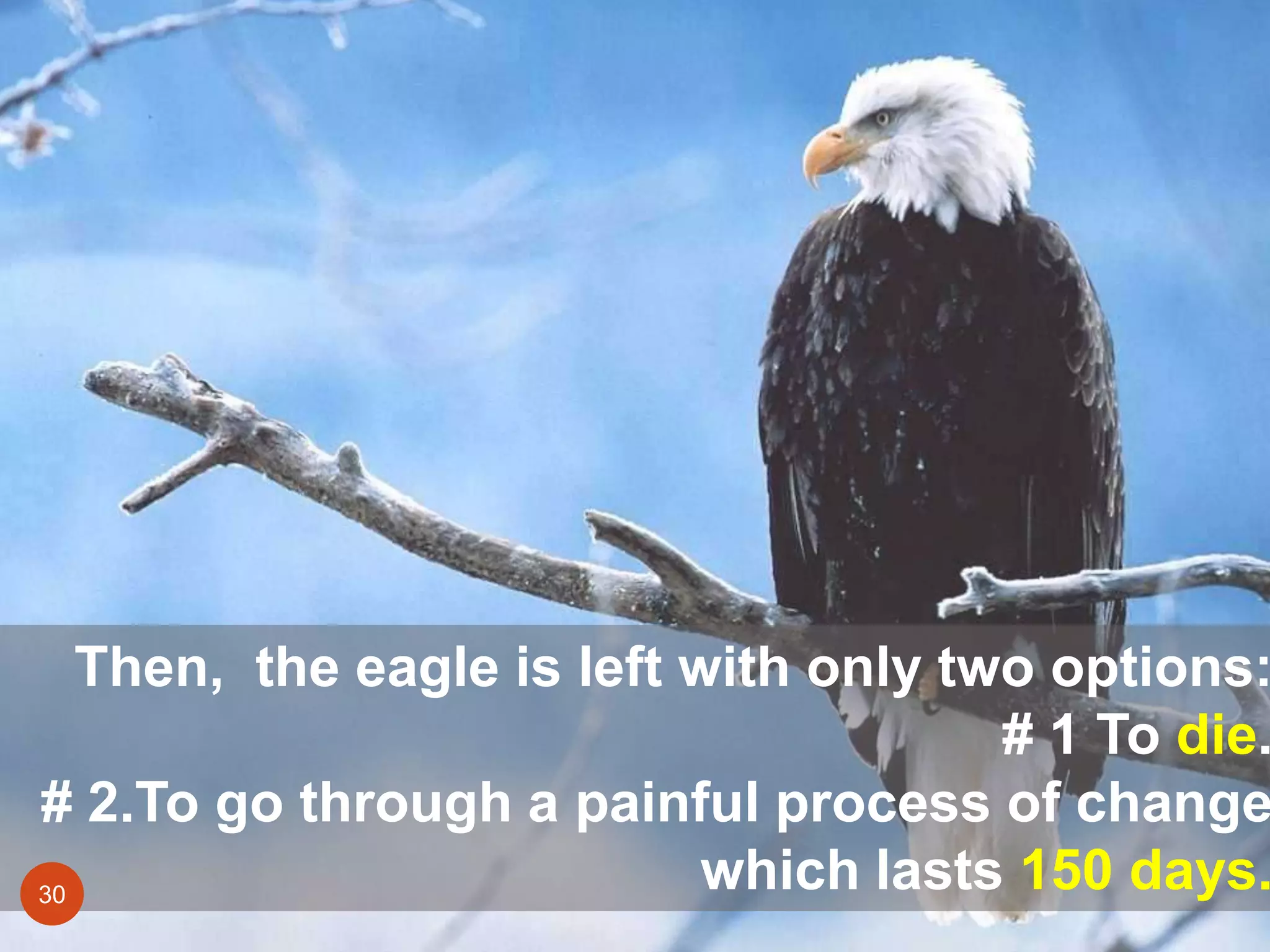 Principles of change management from the life of an eagle | PPTX