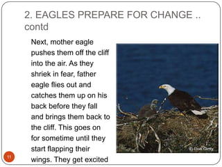 Principles of change management from the life of an eagle | PPTX