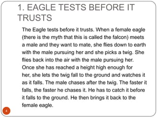 Principles of change management from the life of an eagle | PPTX