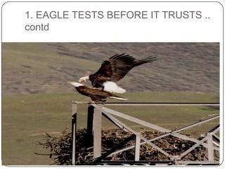 Principles of change management from the life of an eagle | PPTX