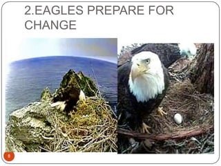 Principles of change management from the life of an eagle | PPTX