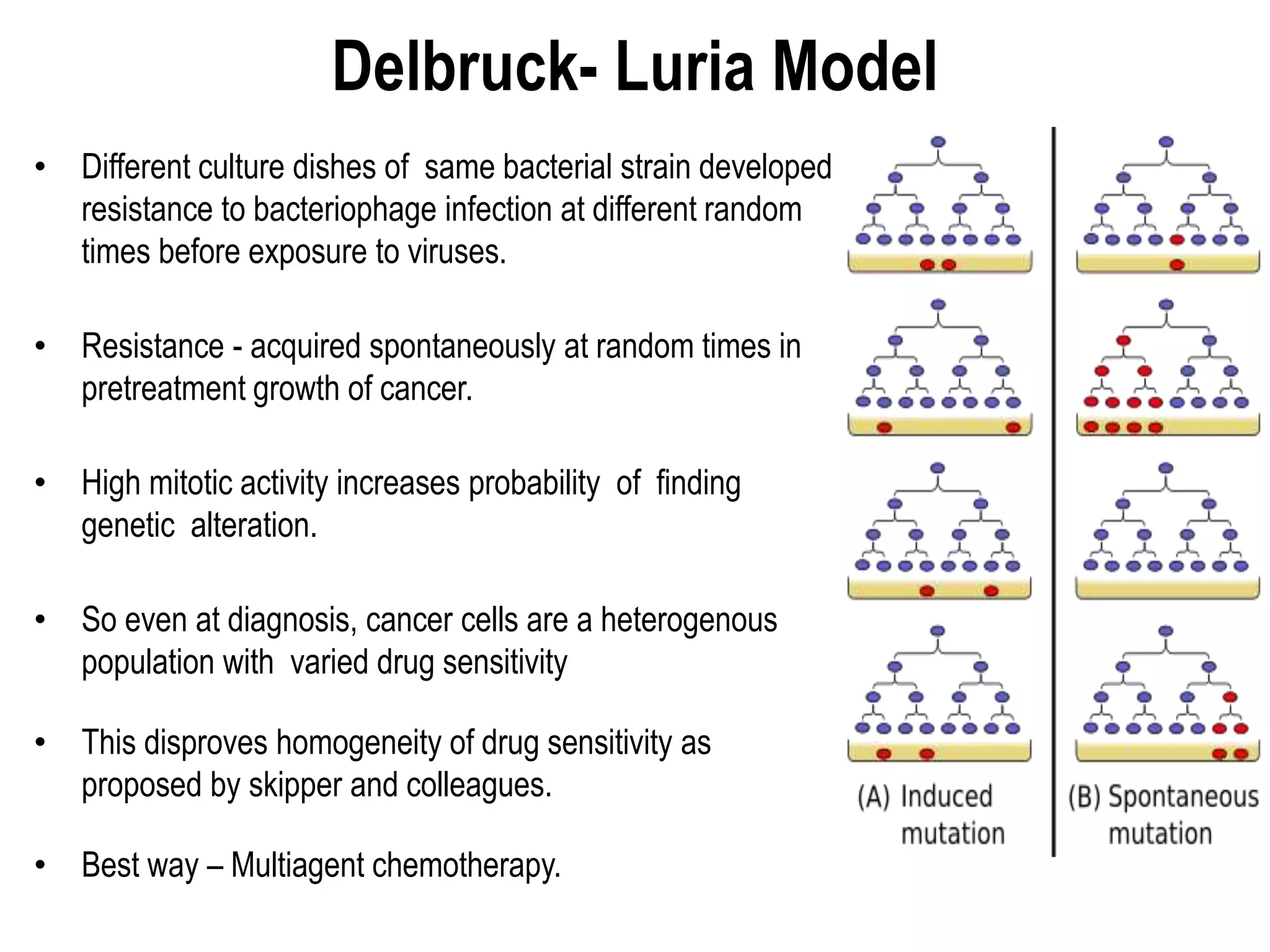Principles of chemotherapy | PPTX