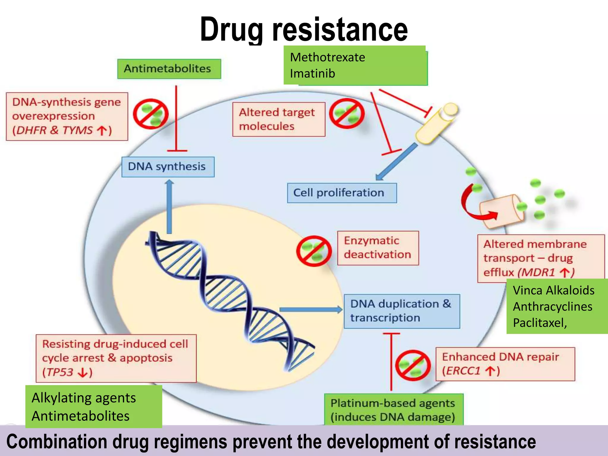 Principles of chemotherapy | PPTX