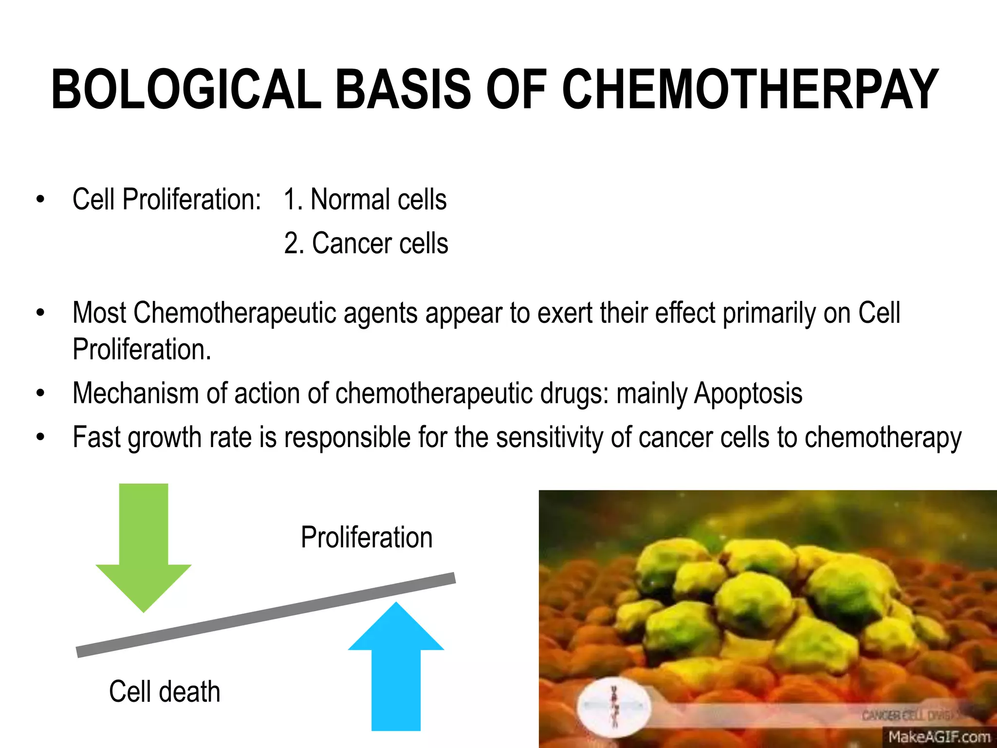 Principles of chemotherapy | PPTX