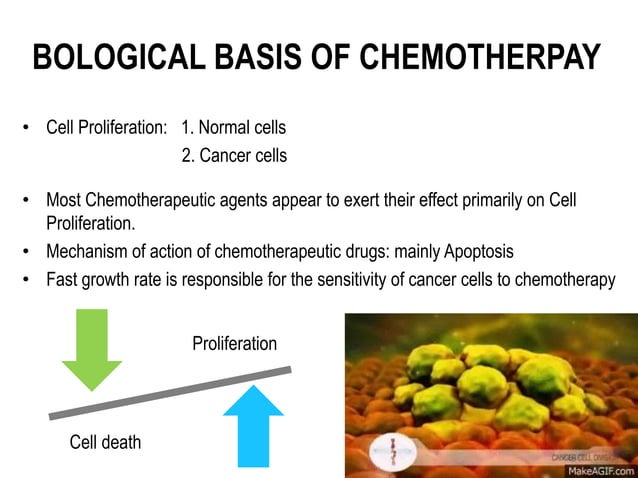 Principles of chemotherapy | PPTX