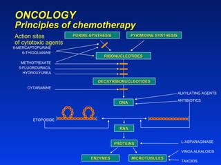 Principles Of Chemotherapy | PPT