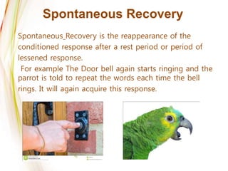 Principles of classical conditioning | PPTX