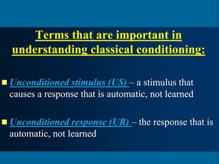 Principles of classical conditioning | PPTX | Science