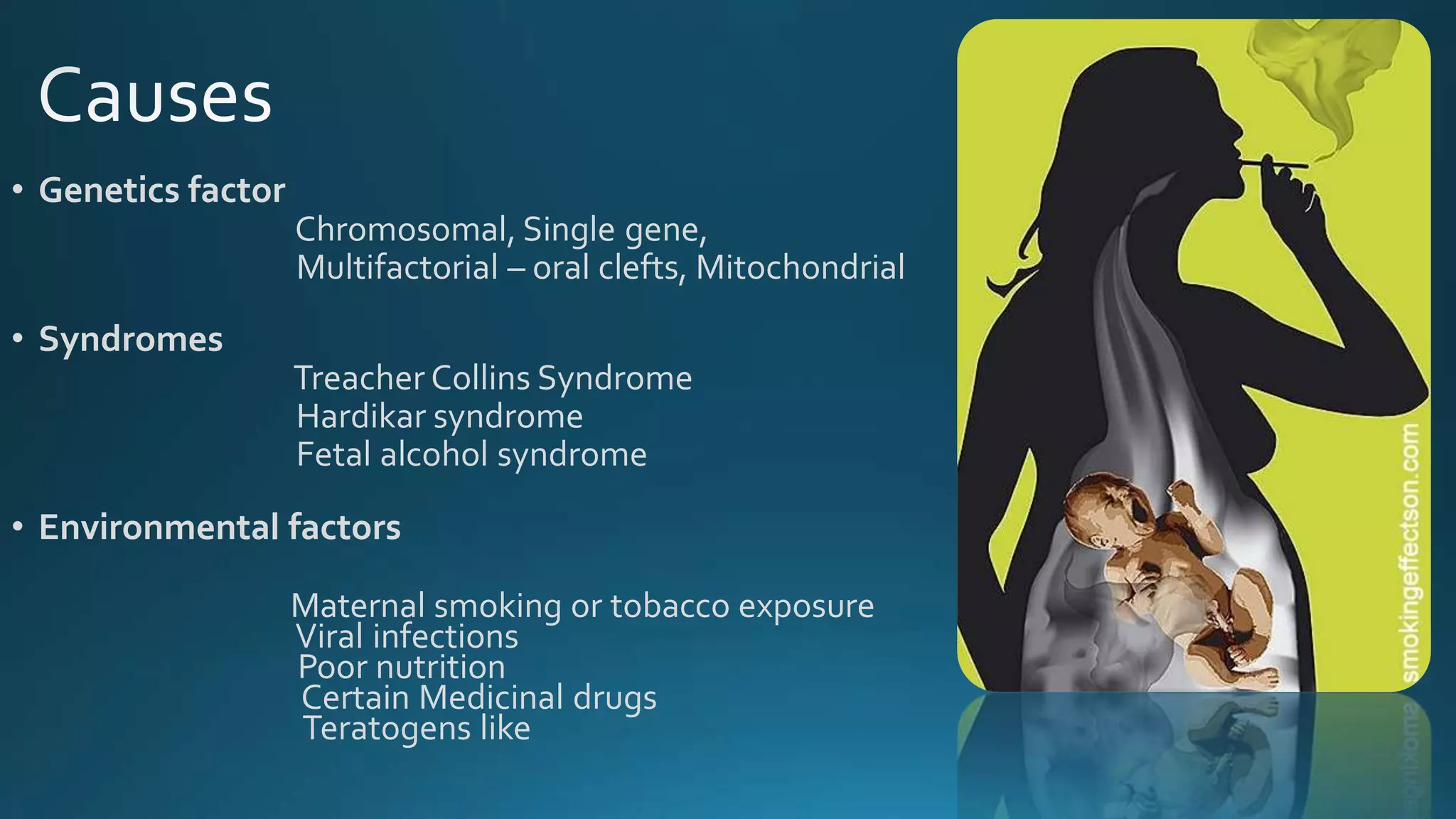 Principles of cleft lip and palate formation | PPTX