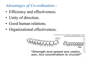 Principles of co ordination | PPTX