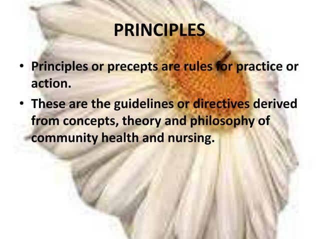 Principles of community health nursing | PPTX