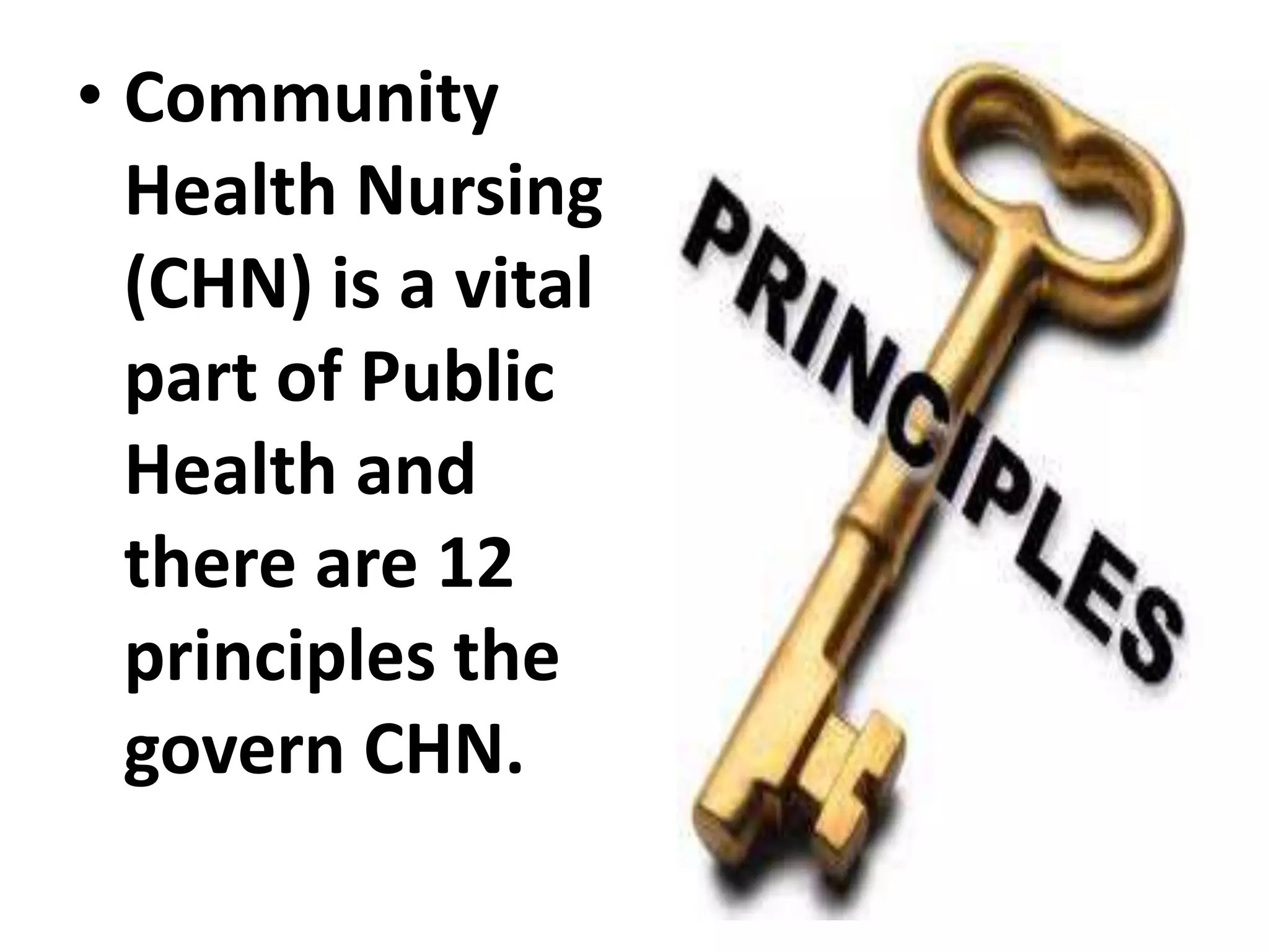 PRINCIPLES OF COMMUNITY HEALTH NURSING | PPTX