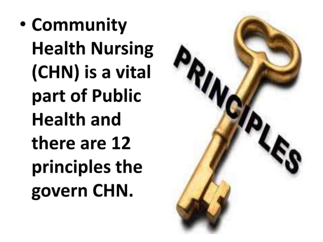 PRINCIPLES OF COMMUNITY HEALTH NURSING | PPTX