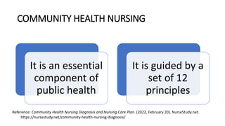 PRINCIPLES OF COMMUNITY HEALTH NURSING | PPTX