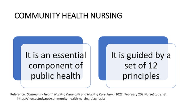 PRINCIPLES OF COMMUNITY HEALTH NURSING | PPTX