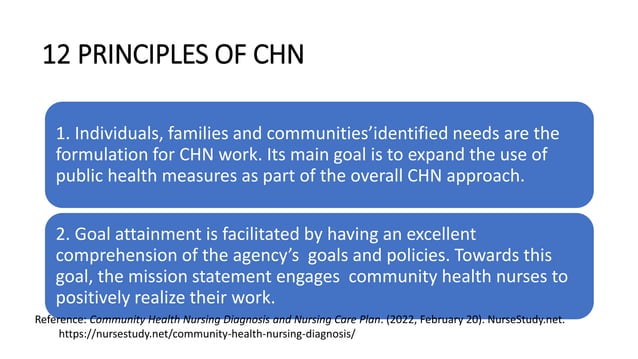 PRINCIPLES OF COMMUNITY HEALTH NURSING | PPTX