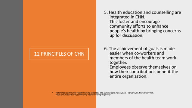 PRINCIPLES OF COMMUNITY HEALTH NURSING | PPTX