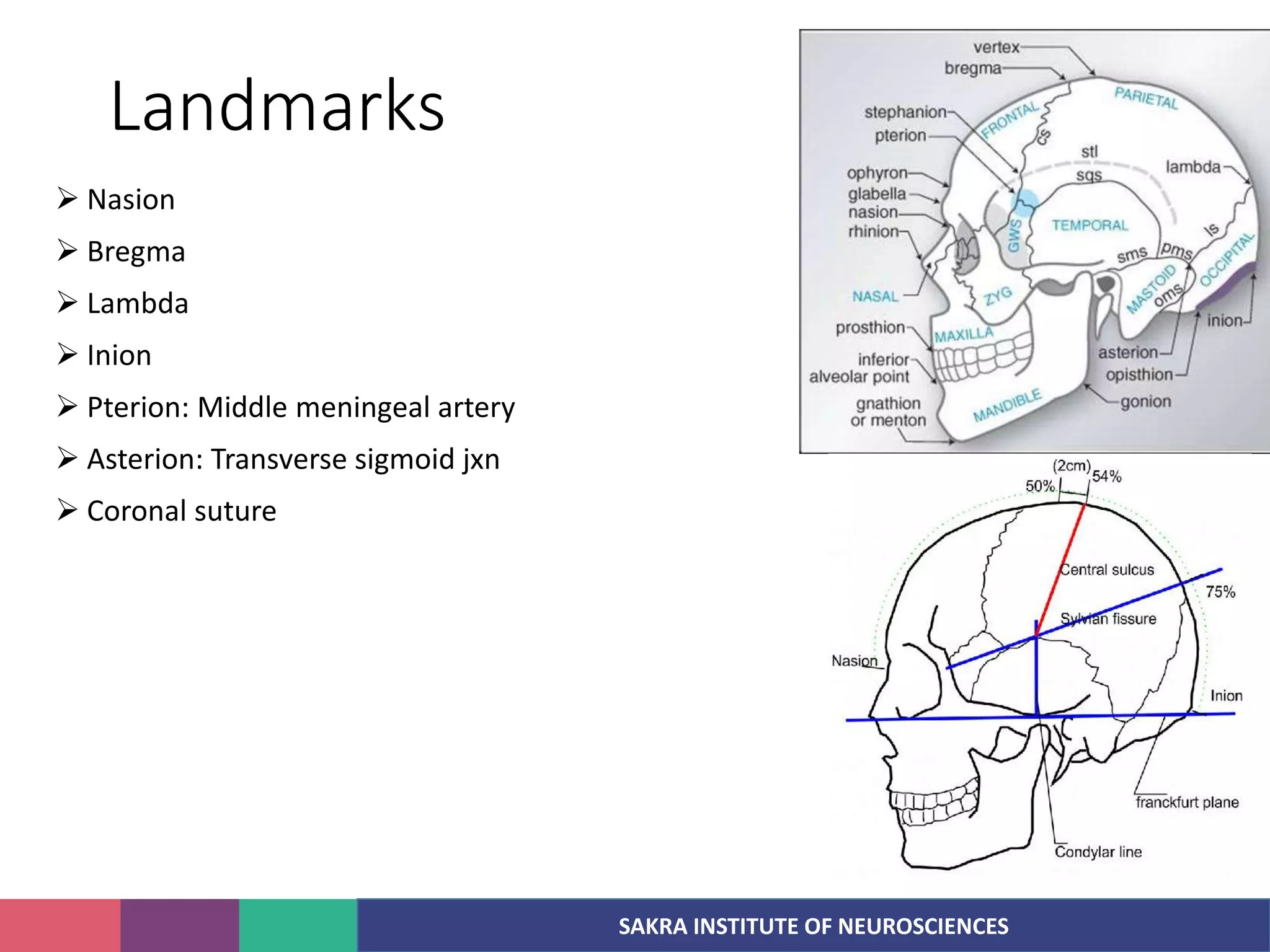 Principles of craniotomy flaps | PPTX