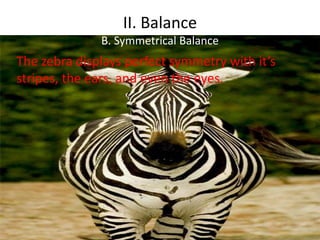 Principles of design | PPTX | Drawing and Sketching | Arts and Crafts