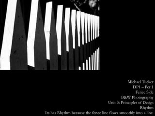 Principles Of Design Rhythm Photography