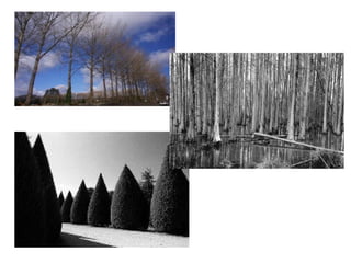 Principles of Design | PPT