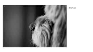 Principles of design | PPT