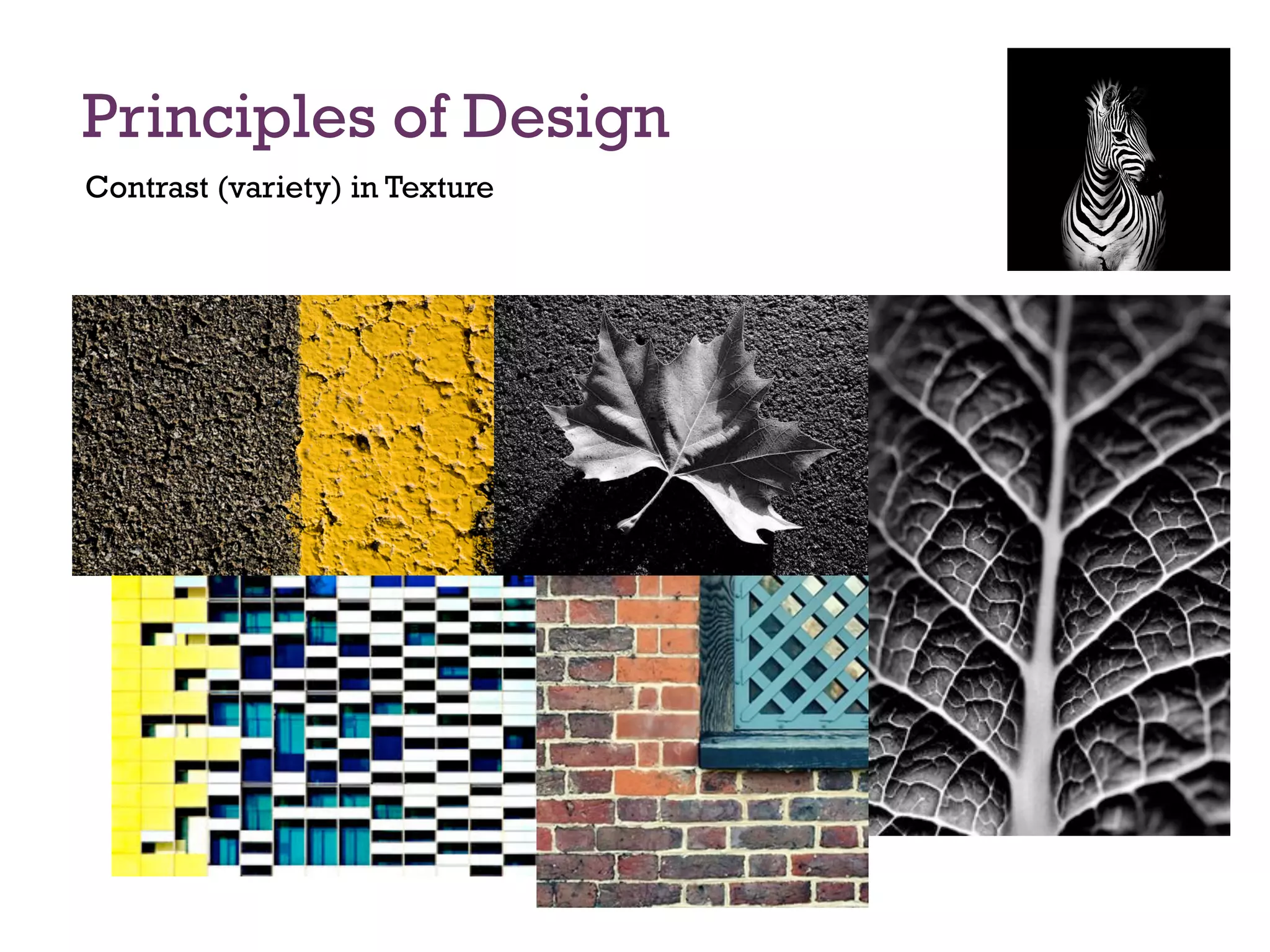 Principles of design | PDF
