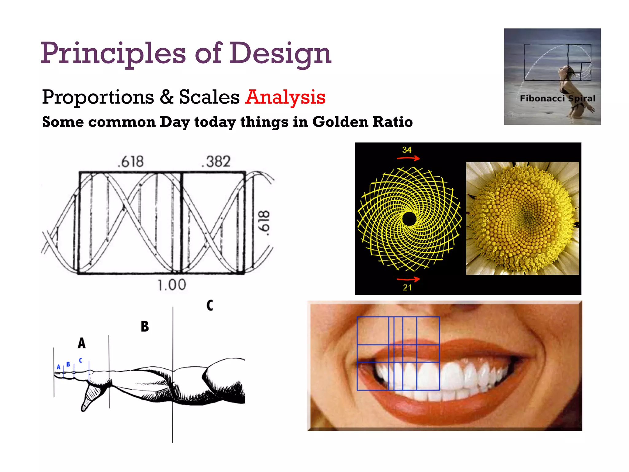 Principles of design | PDF