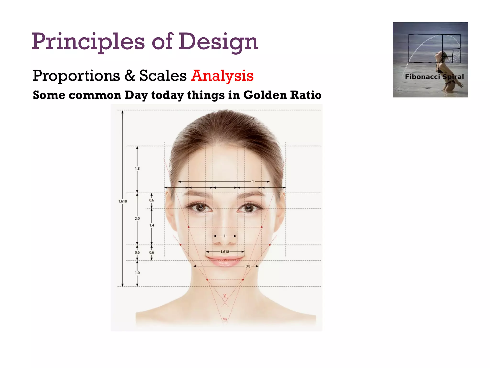Principles of design | PDF