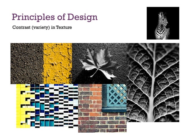 Principles of design | PPT