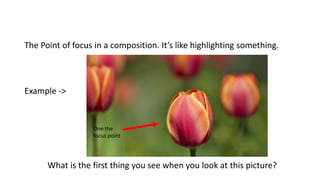 Principles of Design | PPT