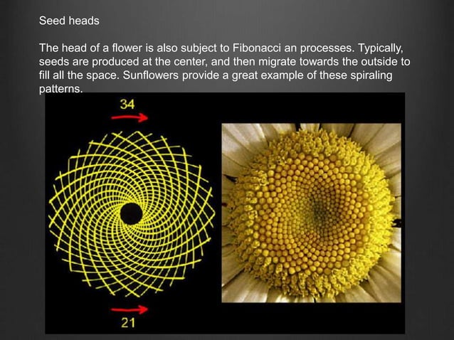 Principles of design theory of design module 2 proportion,scale ...