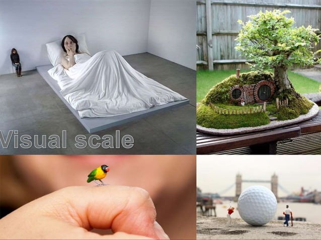 Element Of Design Proportion Scale