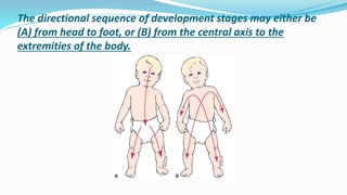 Principles of development | PPTX