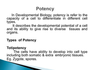 Principles of Developmental Biology by Dr.M.Jothimuniyandi | PPTX