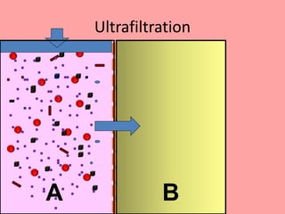 Hemodialysis Diffusion
