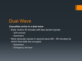 Principles of disaster management | PPTX