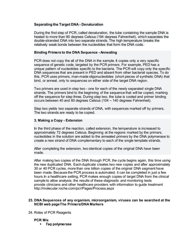 Principles Of Dna Isolation Pcr And Lamp Docx