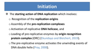 Principles of DNA Structure, Replication and how it affects Plant ...