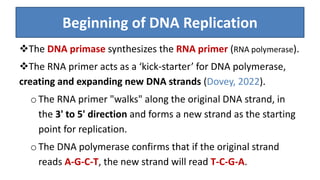Principles of DNA Structure, Replication and how it affects Plant ...