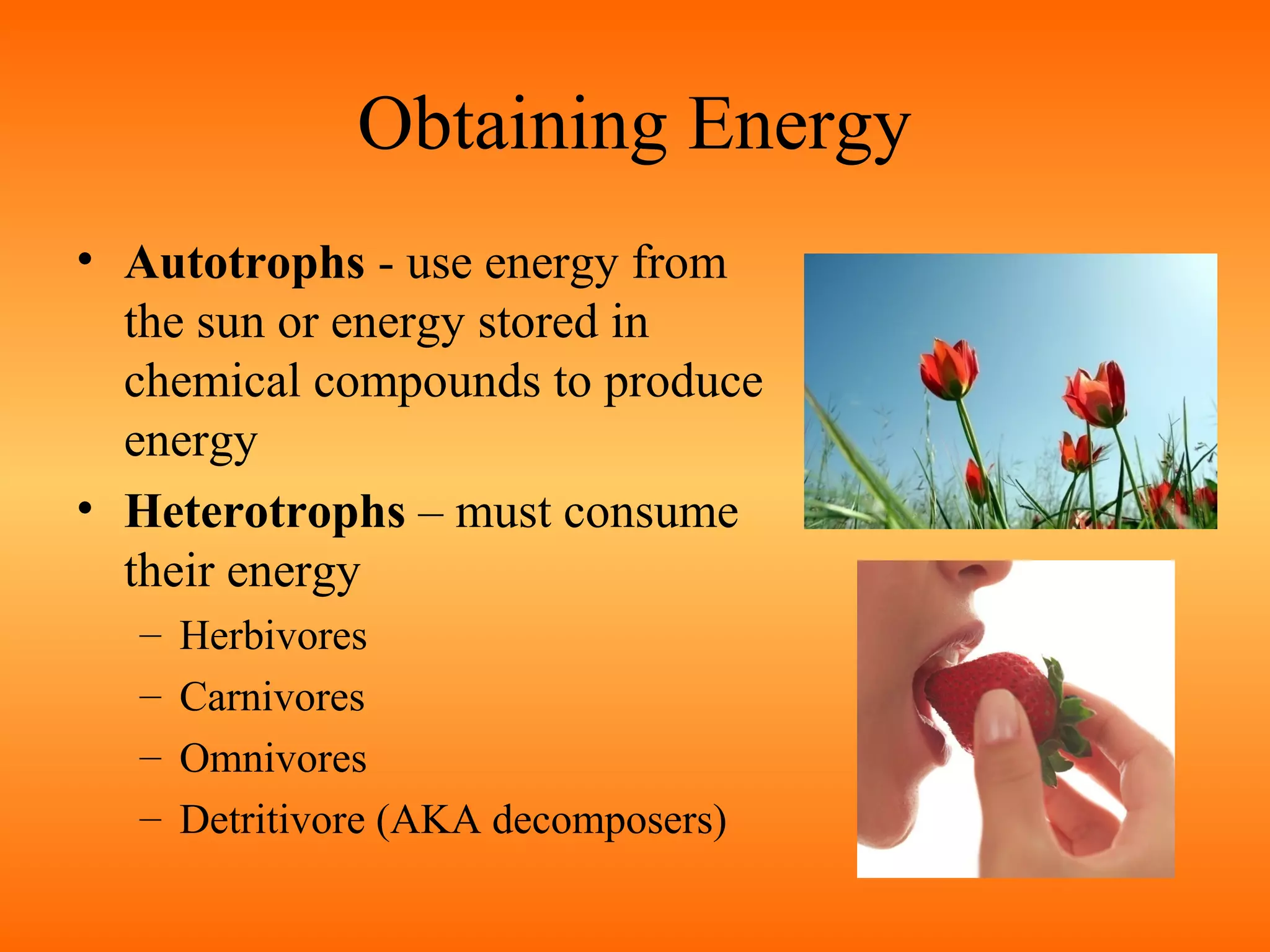 Principles of ecology | PPT