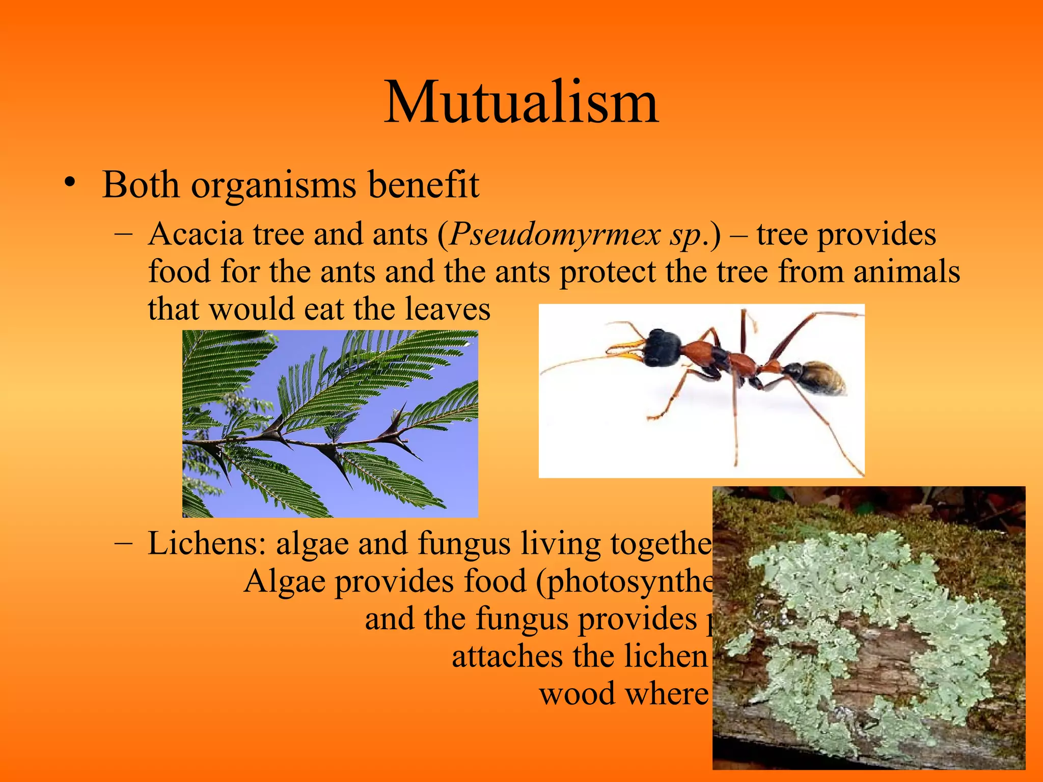 Principles of ecology | PPT