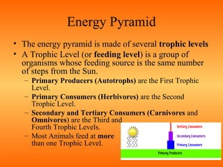 Principles of ecology | PPT