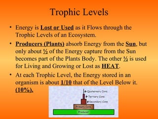Principles of ecology | PPT