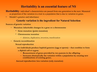 Principles of ecology | PPT