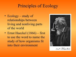Principles of ecology | PPT