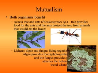 Principles of ecology | PPT
