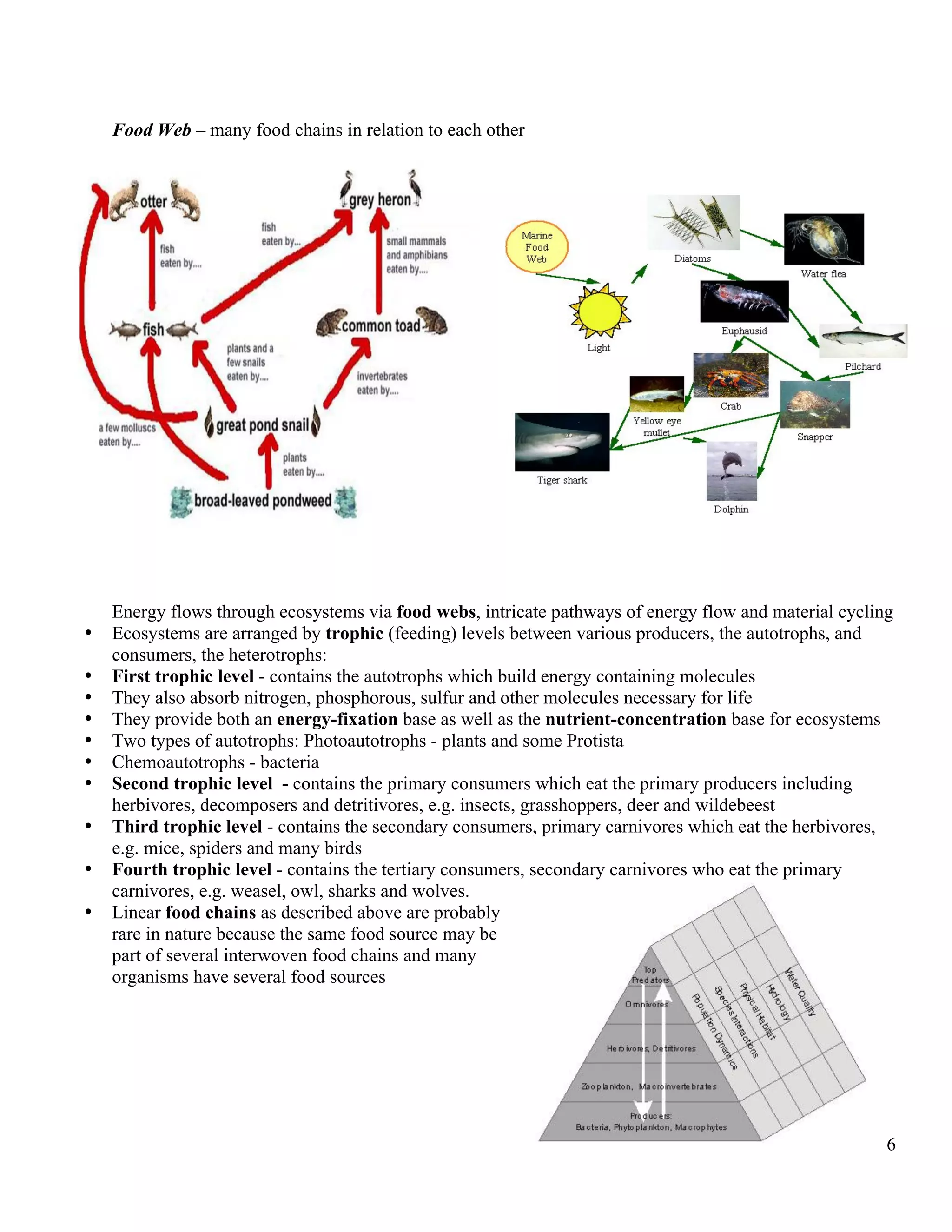 Principles of Ecology | PDF