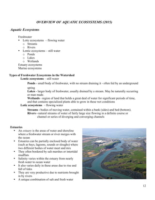 Principles of Ecology | PDF