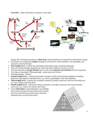 Principles of Ecology | PDF